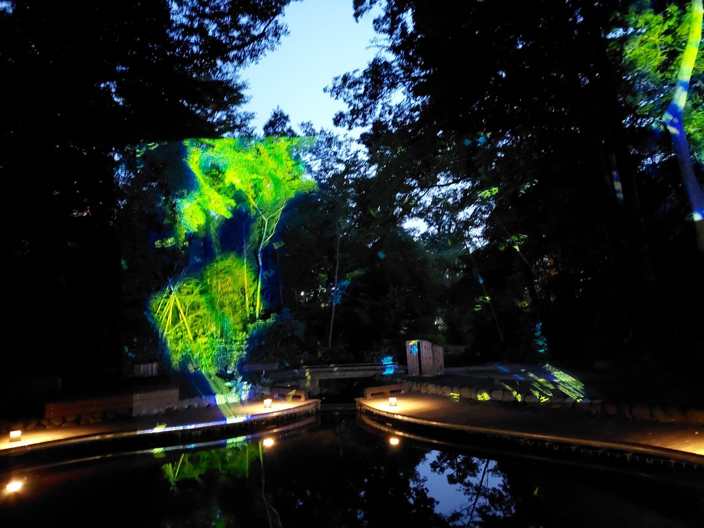 【11/11オンライン開催】トークセッション：まちづくりから考える地域と暮らし～SDGsを視野に入れて～ 東経の森を彩るインスタレーションも | 東京経済大学